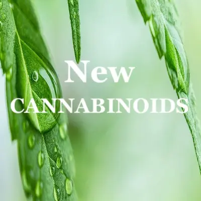 New Cannabinoids - Hempland Loja Cannabis CBD